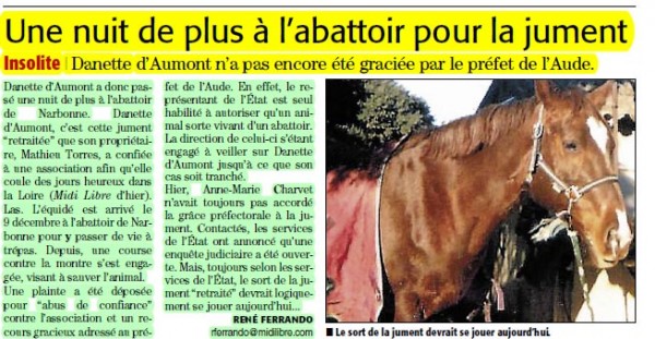 L'incroyable histoire de DANETTE : sauvée deux fois des abattoirs ...